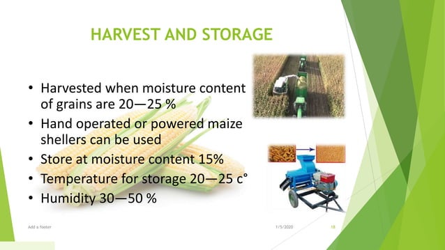 Maize industry in Pakistan | PPTX