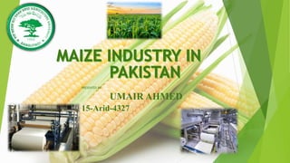 Maize industry in Pakistan | PPTX