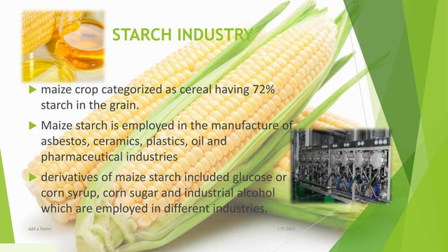 Maize industry in Pakistan | PPTX