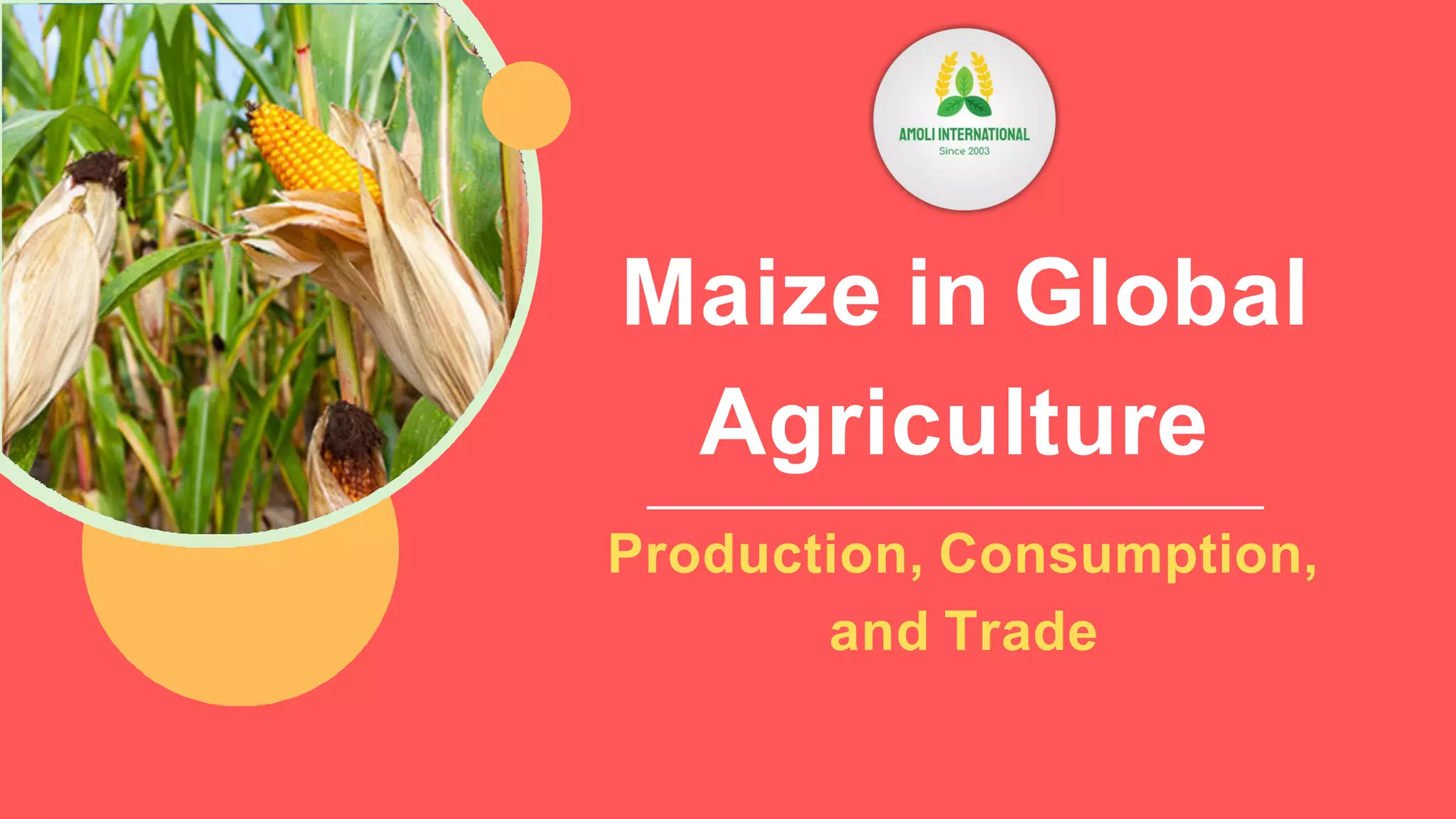 Maize in Global Agriculture : Production, Consumption,and Trade | PDF