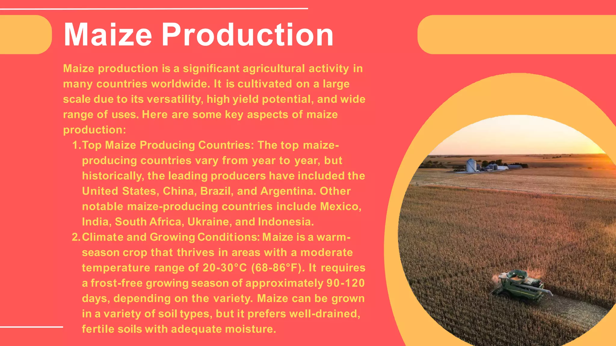 Maize in Global Agriculture : Production, Consumption,and Trade | PDF