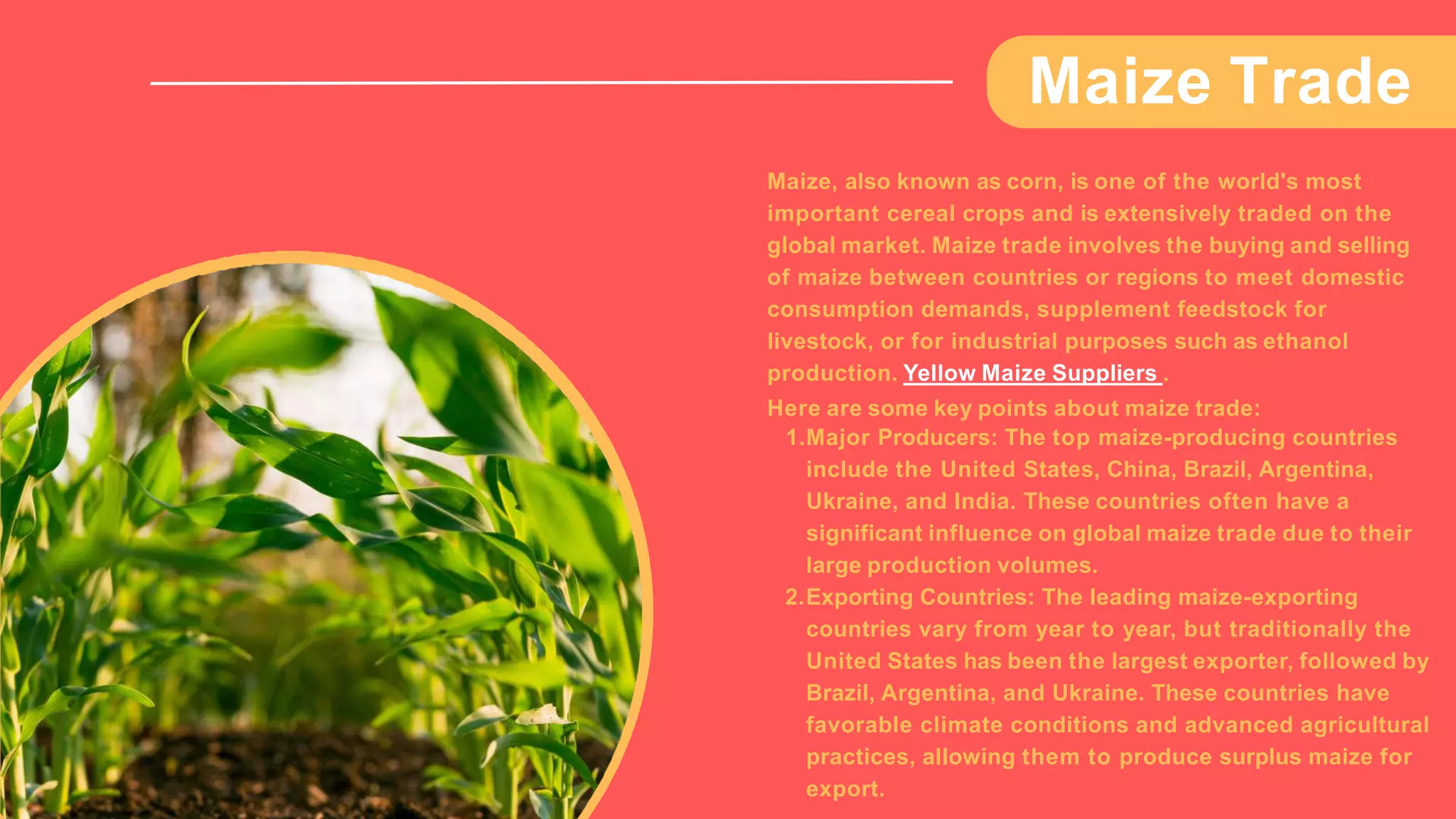 Maize in Global Agriculture : Production, Consumption,and Trade | PDF