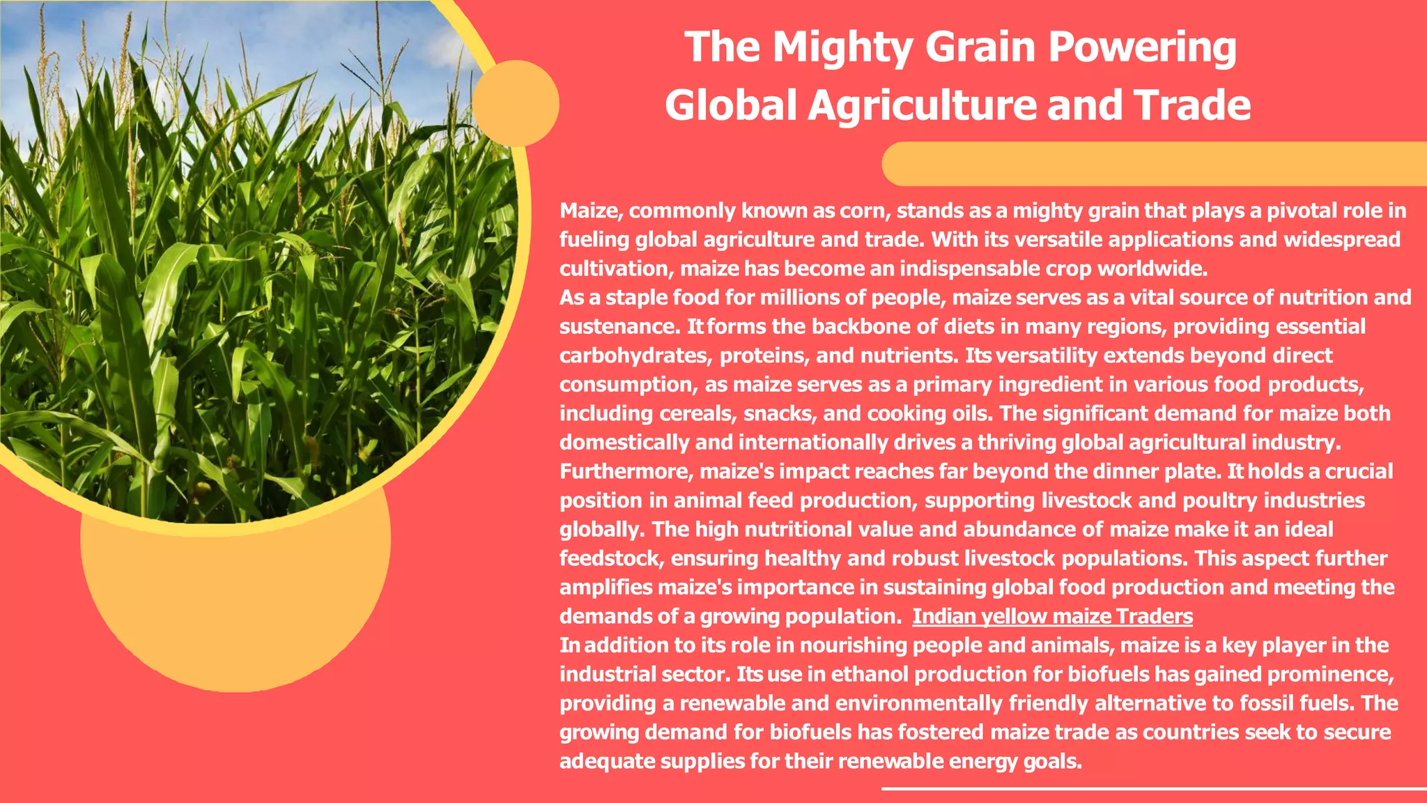 Maize in Global Agriculture : Production, Consumption,and Trade | PDF