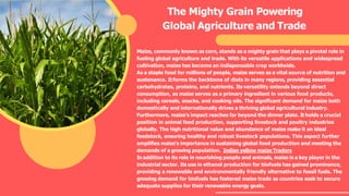 Maize in Global Agriculture : Production, Consumption,and Trade | PPT