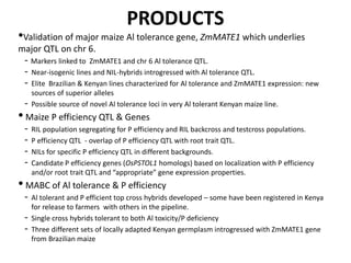 GRM 2013: Status of maize projects in the Comparative Genomics Research ...