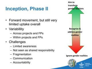 Cross-cutting IDOs: Gender | PPT