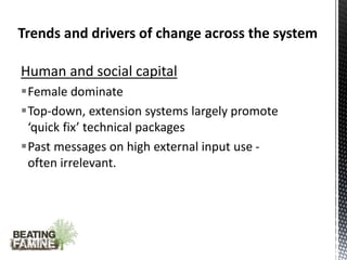 The maize mixed farming system: Highlights of characteristics, trends ...