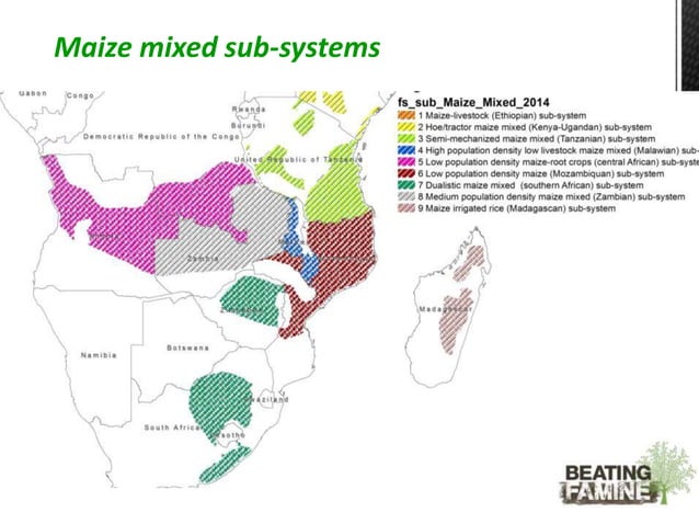 The maize mixed farming system: Highlights of characteristics, trends ...