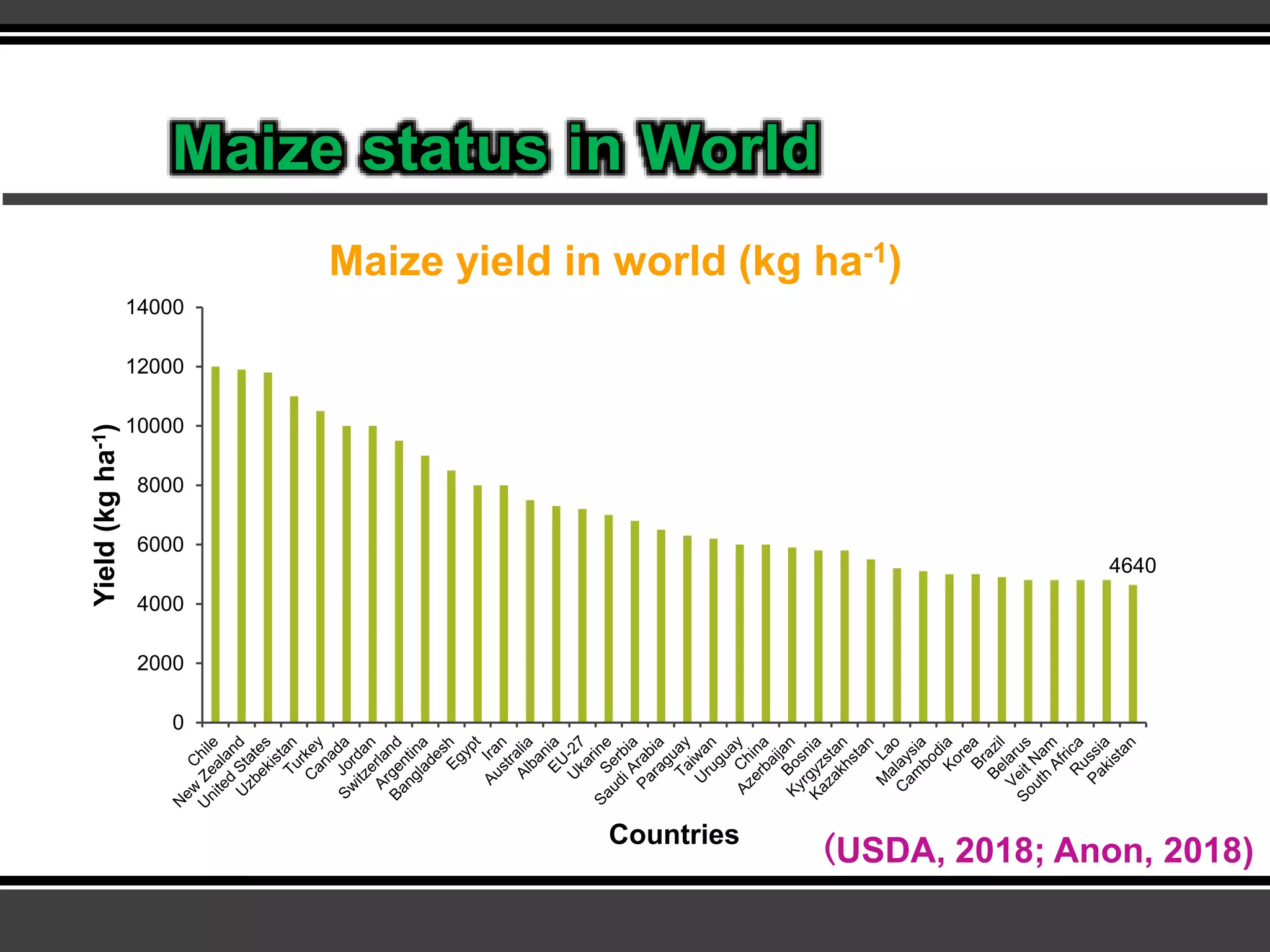 Economic importance and Phenological description of maize | PPTX