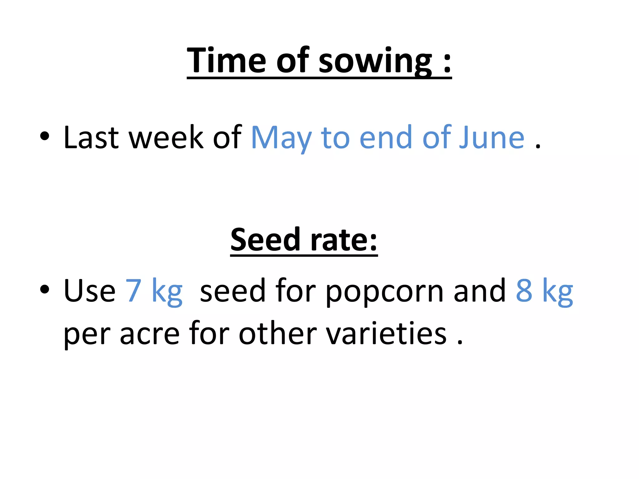 Maize ppt | PPTX