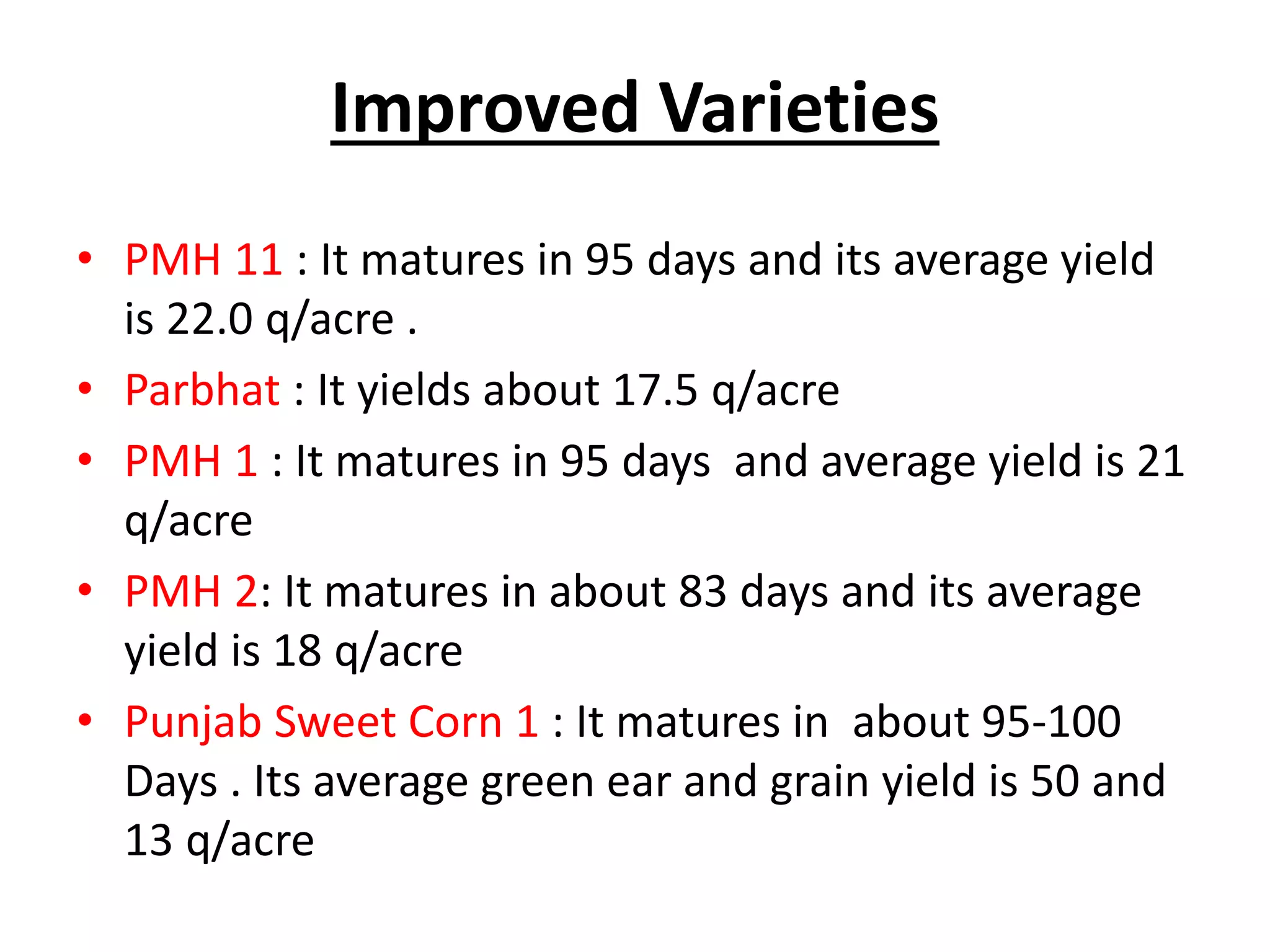 Maize ppt | PPTX