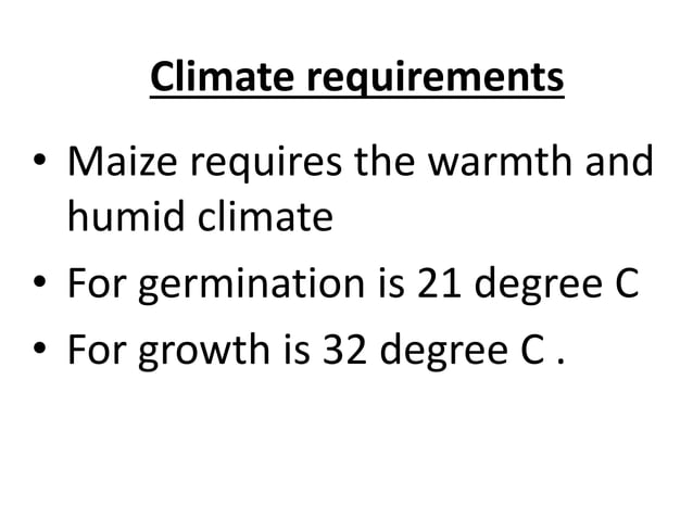 Maize ppt | PPTX | Agriculture | Industries