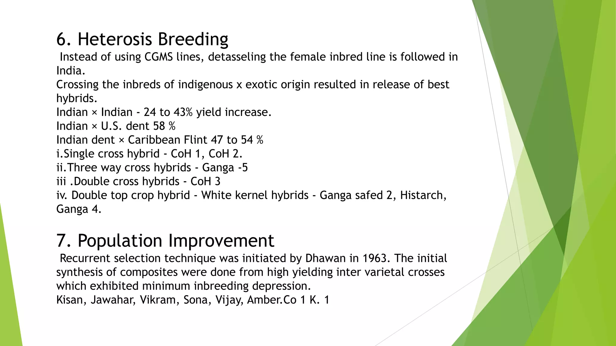 Maize ppt by sudarshan | PPTX