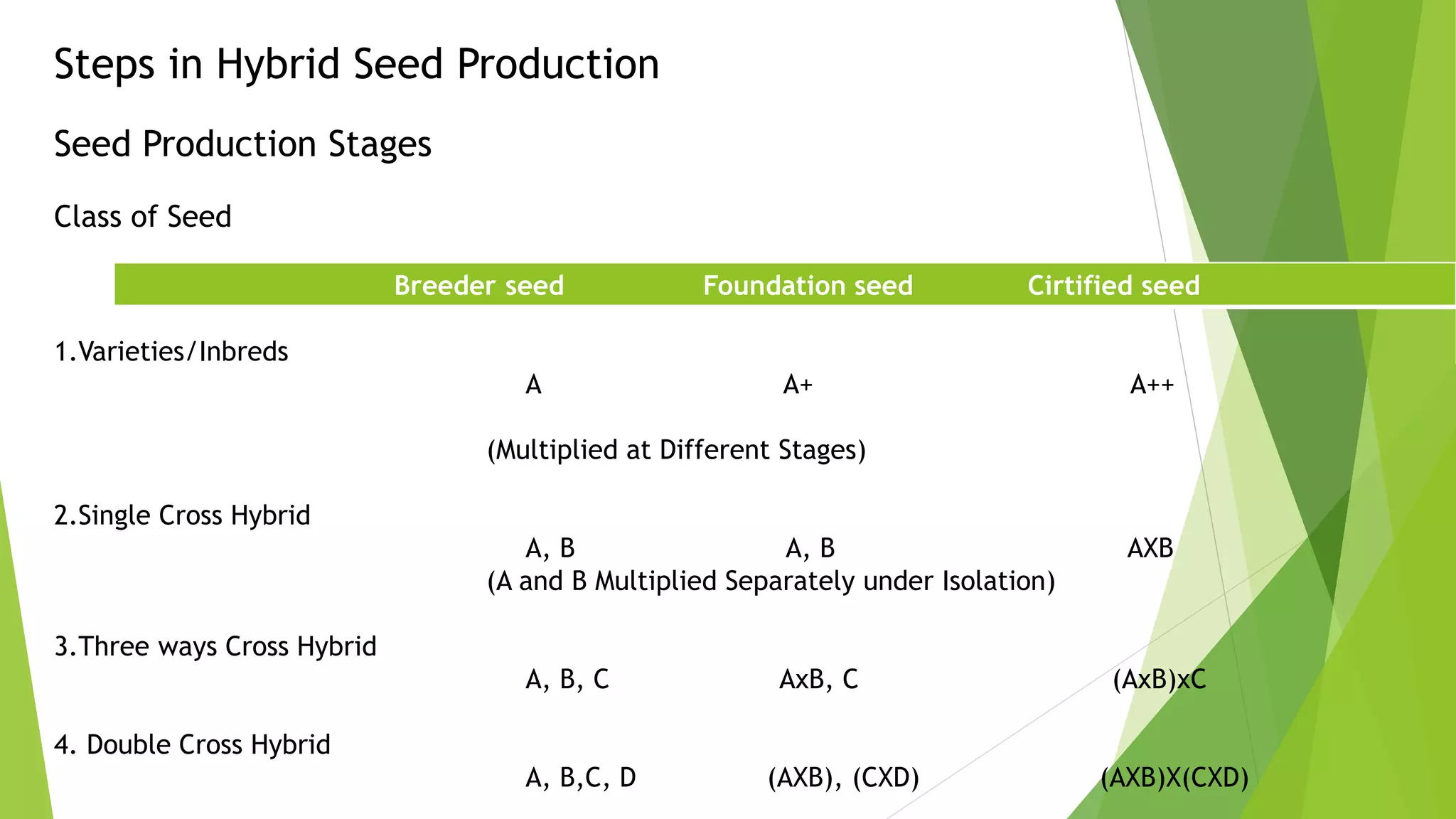 Maize ppt by sudarshan | PPTX