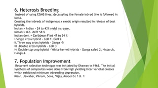 Maize ppt by sudarshan | PPTX