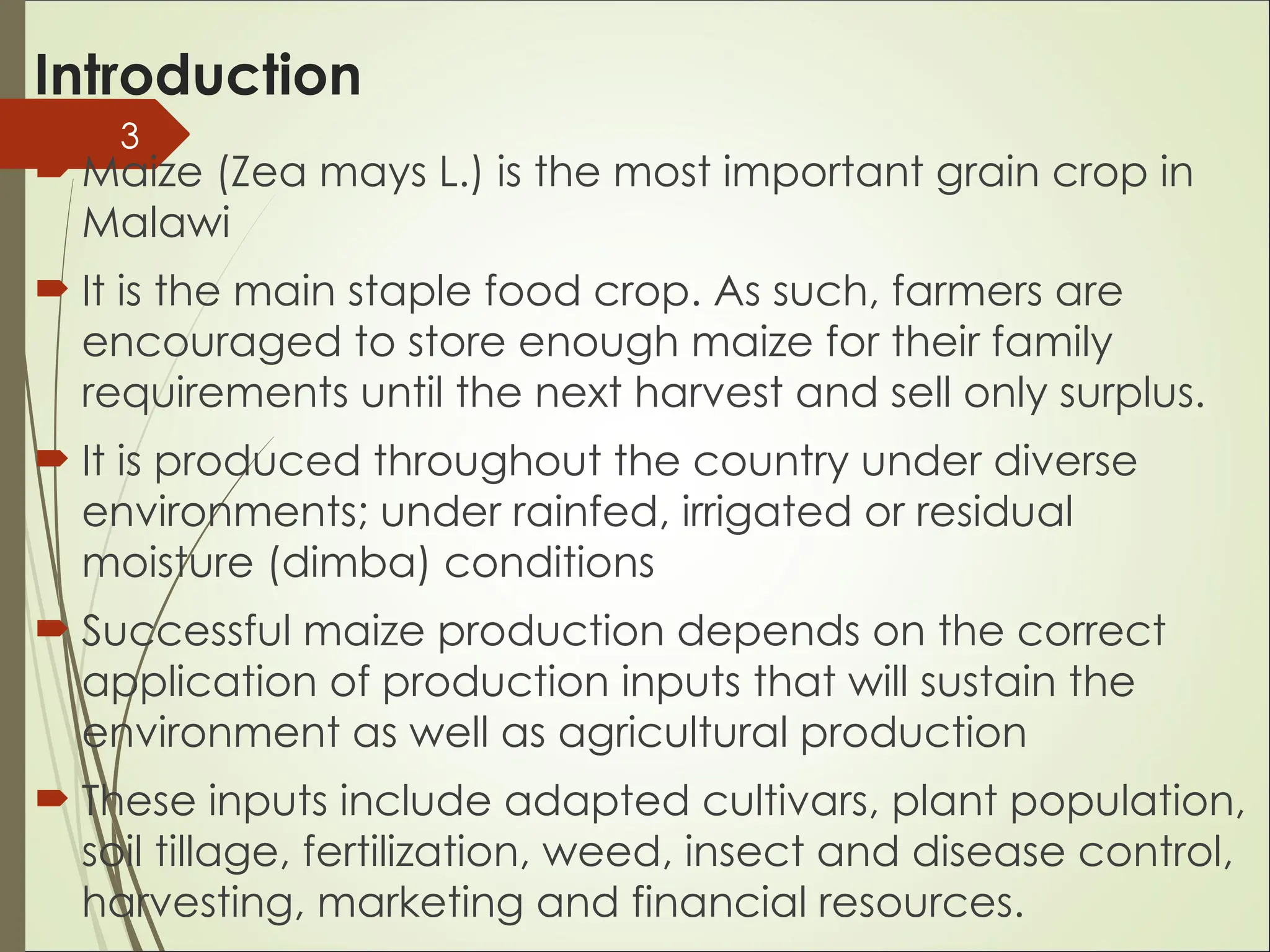 Maize Production manual-allpractices.ppt