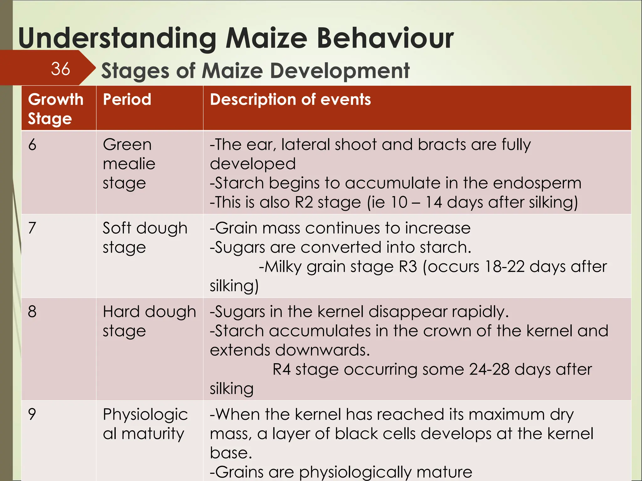 Maize Production manual-allpractices.ppt