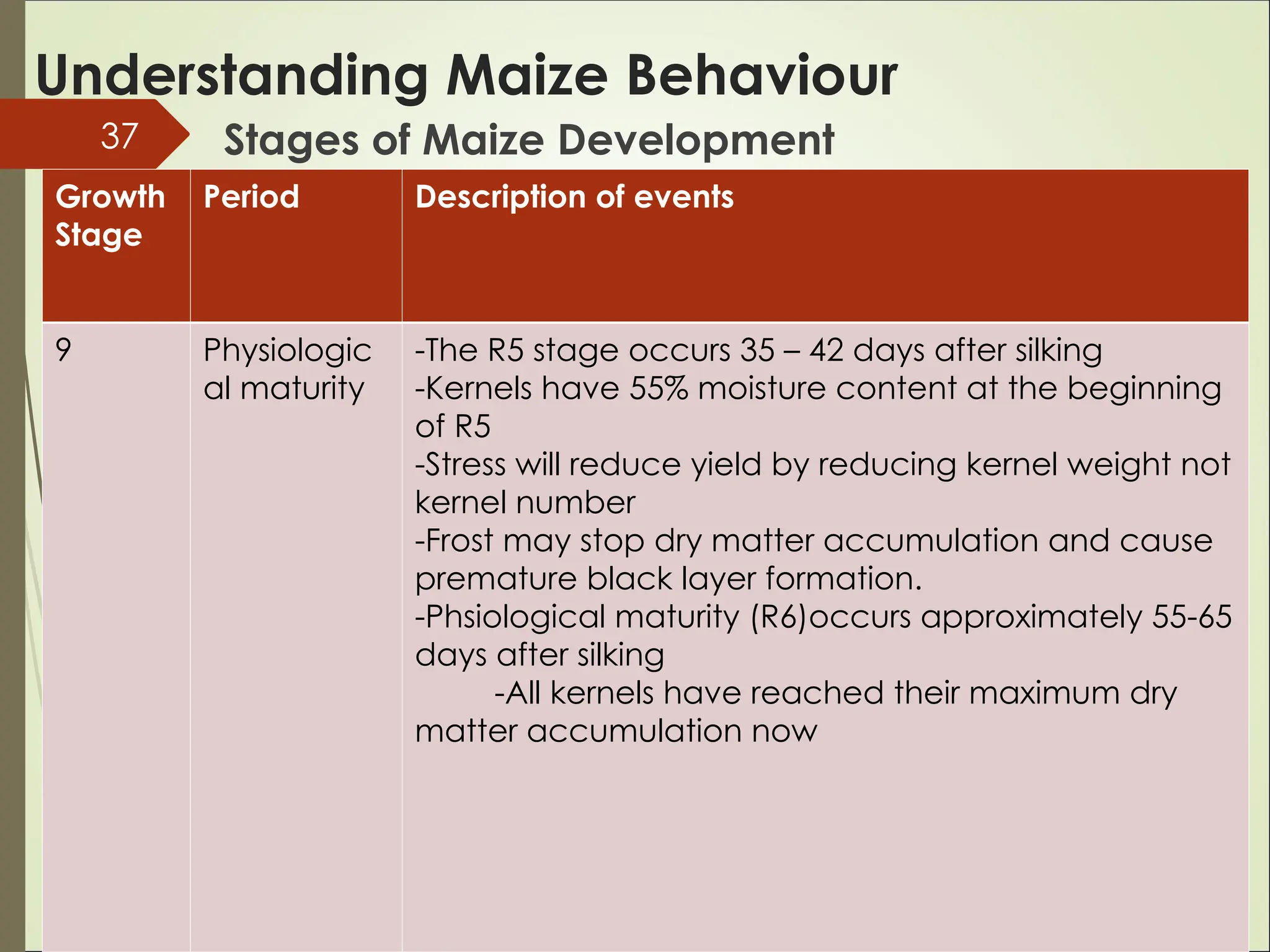 Maize Production manual-allpractices.ppt