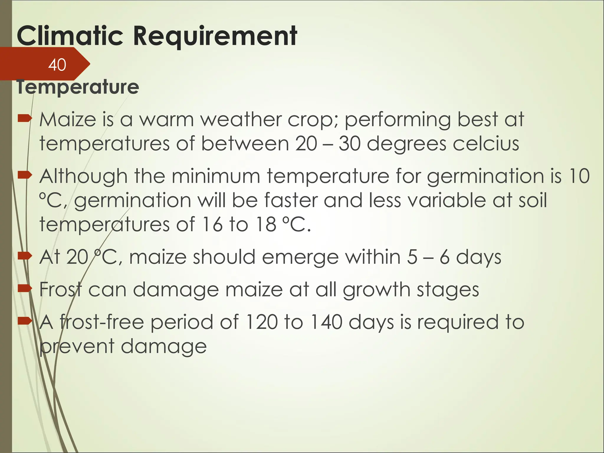 Maize Production manual-allpractices.ppt