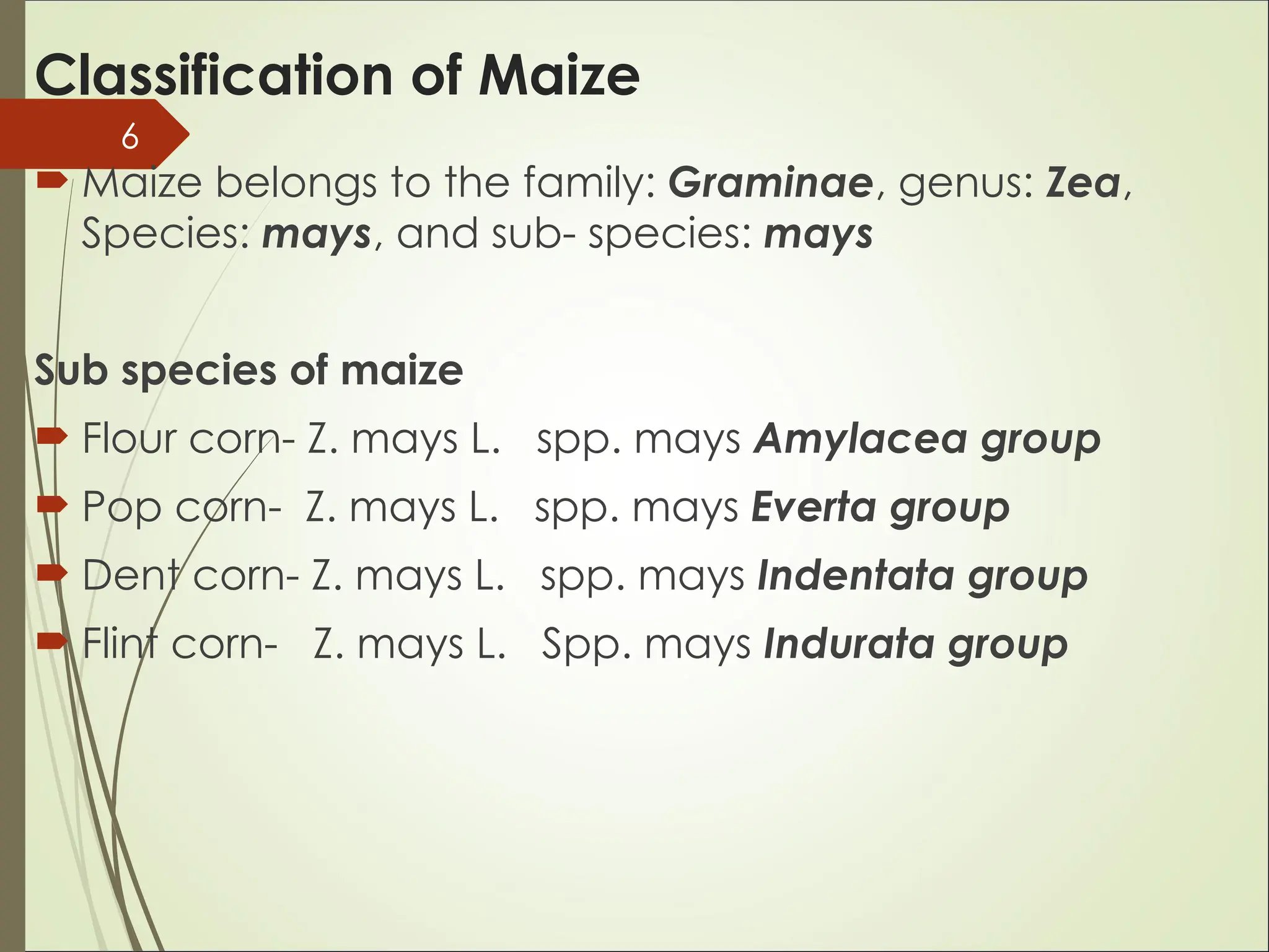 Maize Production manual-allpractices.ppt