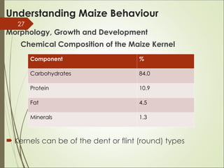 Maize Production manual-allpractices.ppt