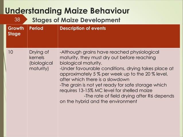 Maize Production manual-allpractices.ppt