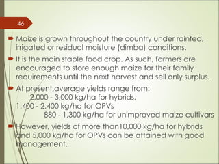 Maize Production manual-allpractices.ppt