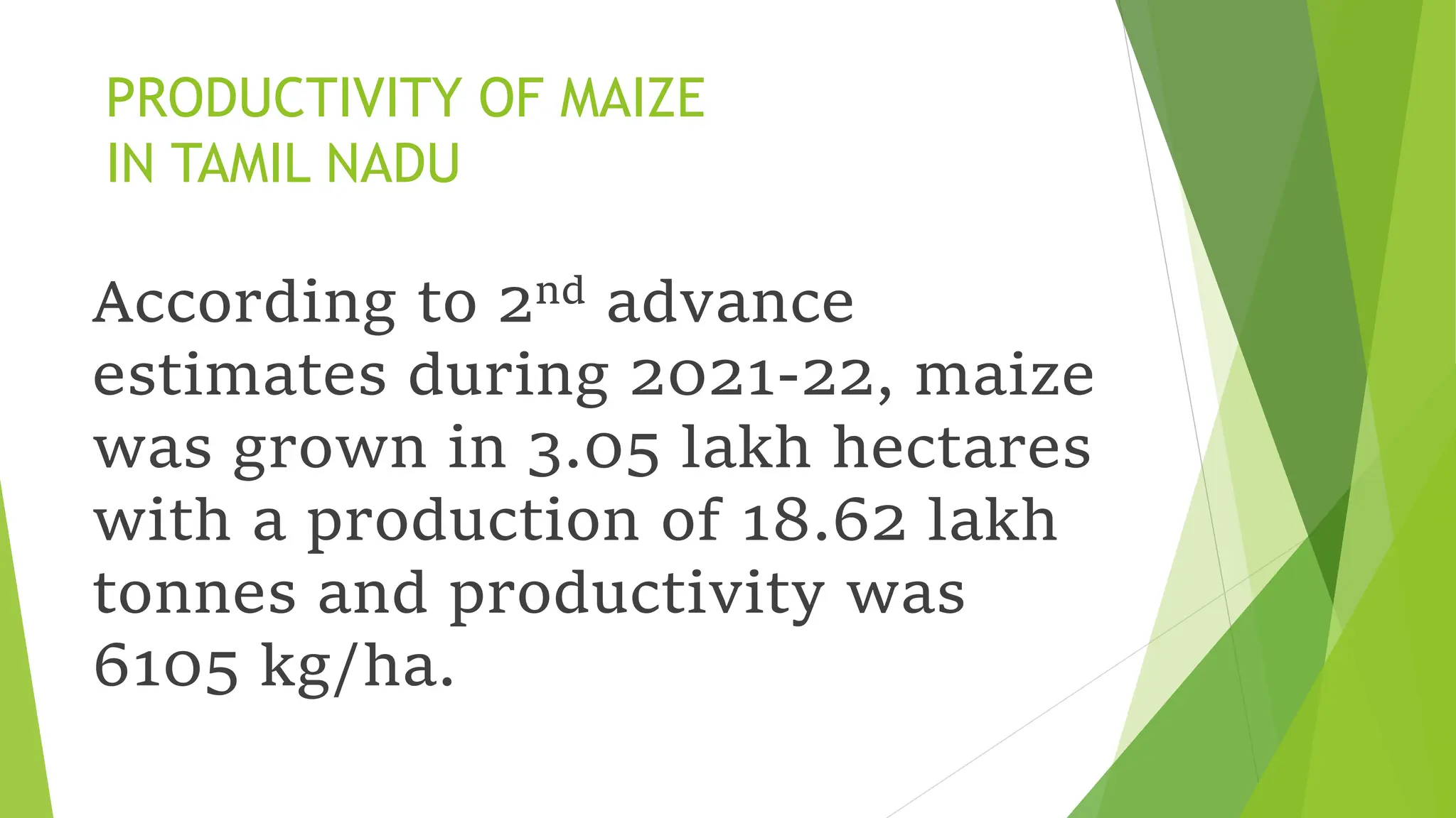 Maize Production in Tamil Nadu..pptx.smk | Agriculture | Industries