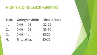 Maize Production in Tamil Nadu..pptx.smk