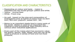 Maize Production in Tamil Nadu..pptx.smk | Agriculture | Industries