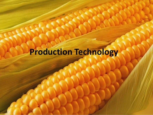 Maize production technology