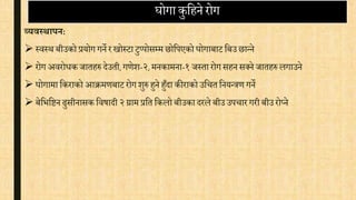 मकै खेति प्रविधि (Maize production technology) | PPTX