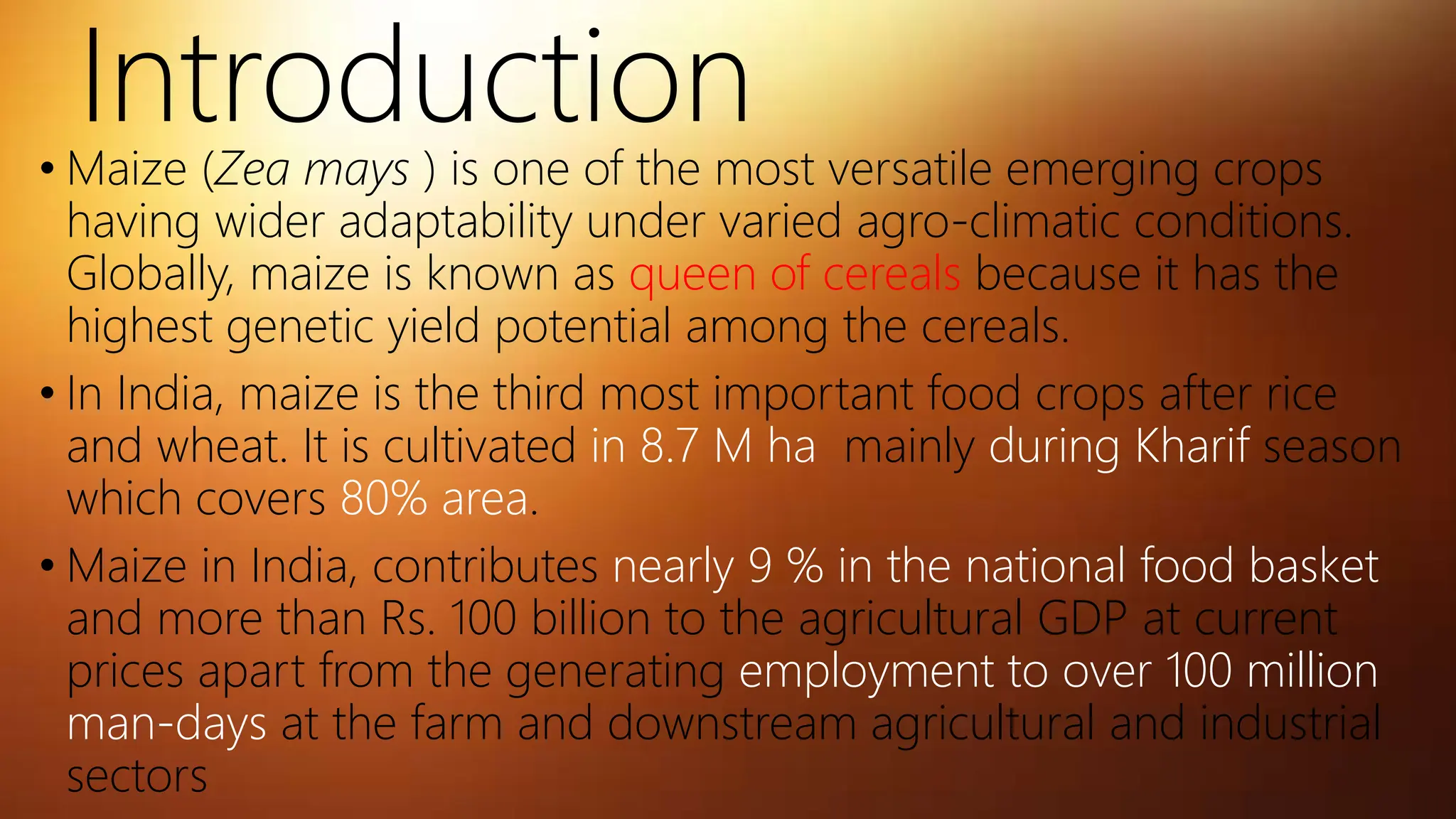 Improved agrotechniques for Maize cultivation | PPTX
