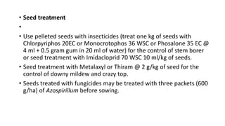 Improved agrotechniques for Maize cultivation | PPT