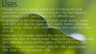 Improved agrotechniques for Maize cultivation | PPTX