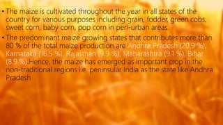 Improved agrotechniques for Maize cultivation | PPTX