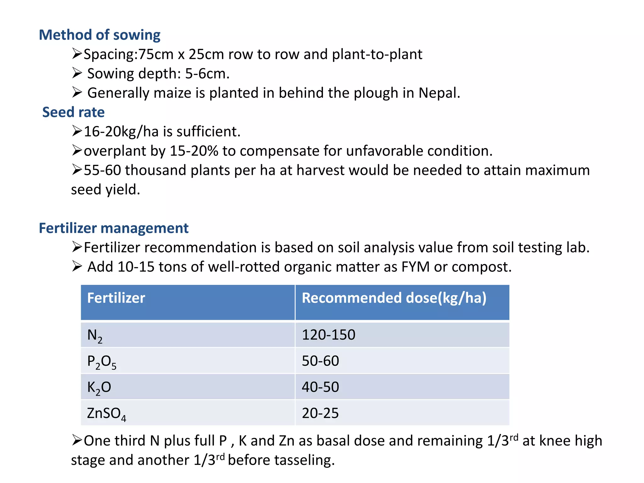 Maize seed production | PPTX