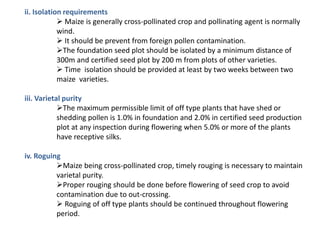 Maize seed production | PPTX