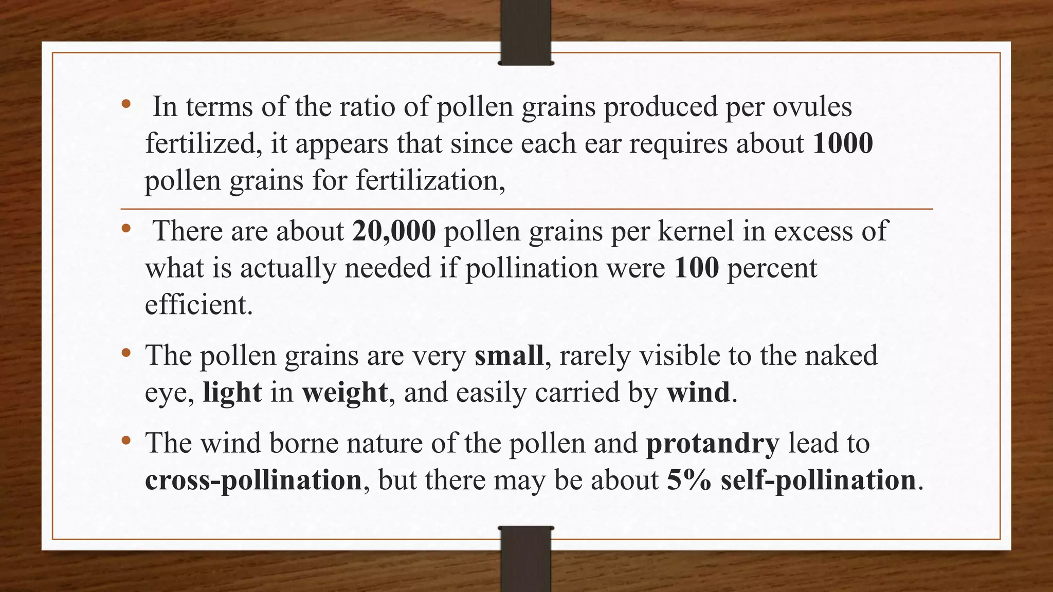 Maize seed production | PPTX