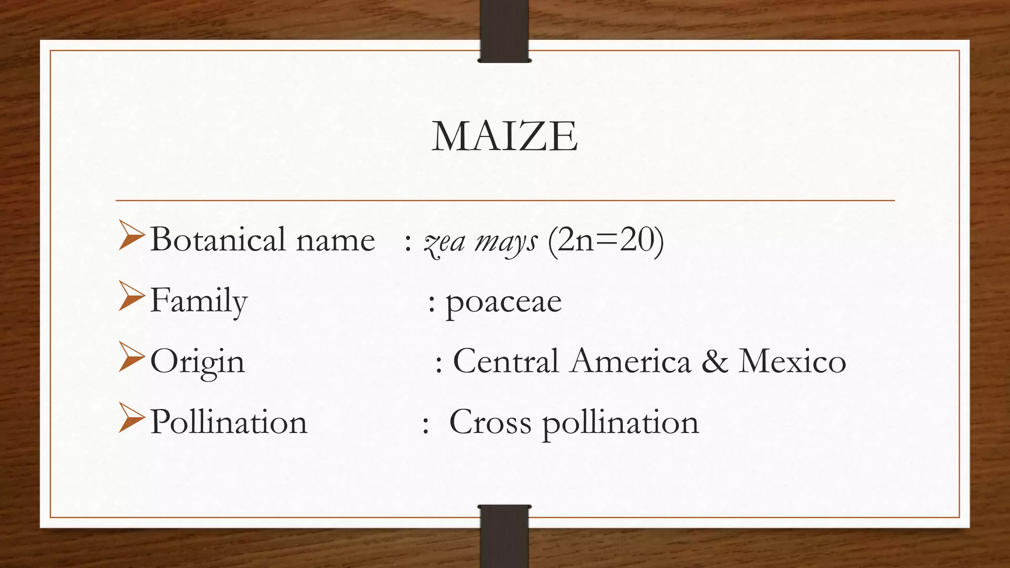 Maize seed production | PPTX