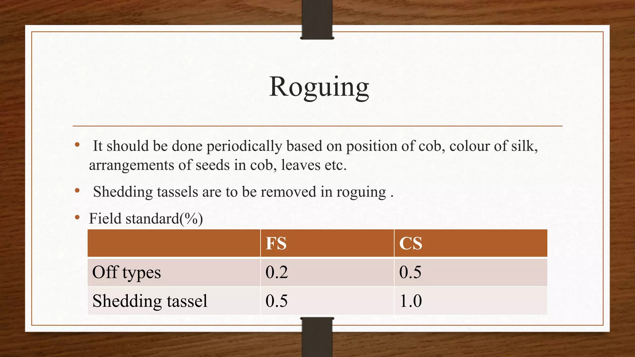 Maize seed production | PPTX