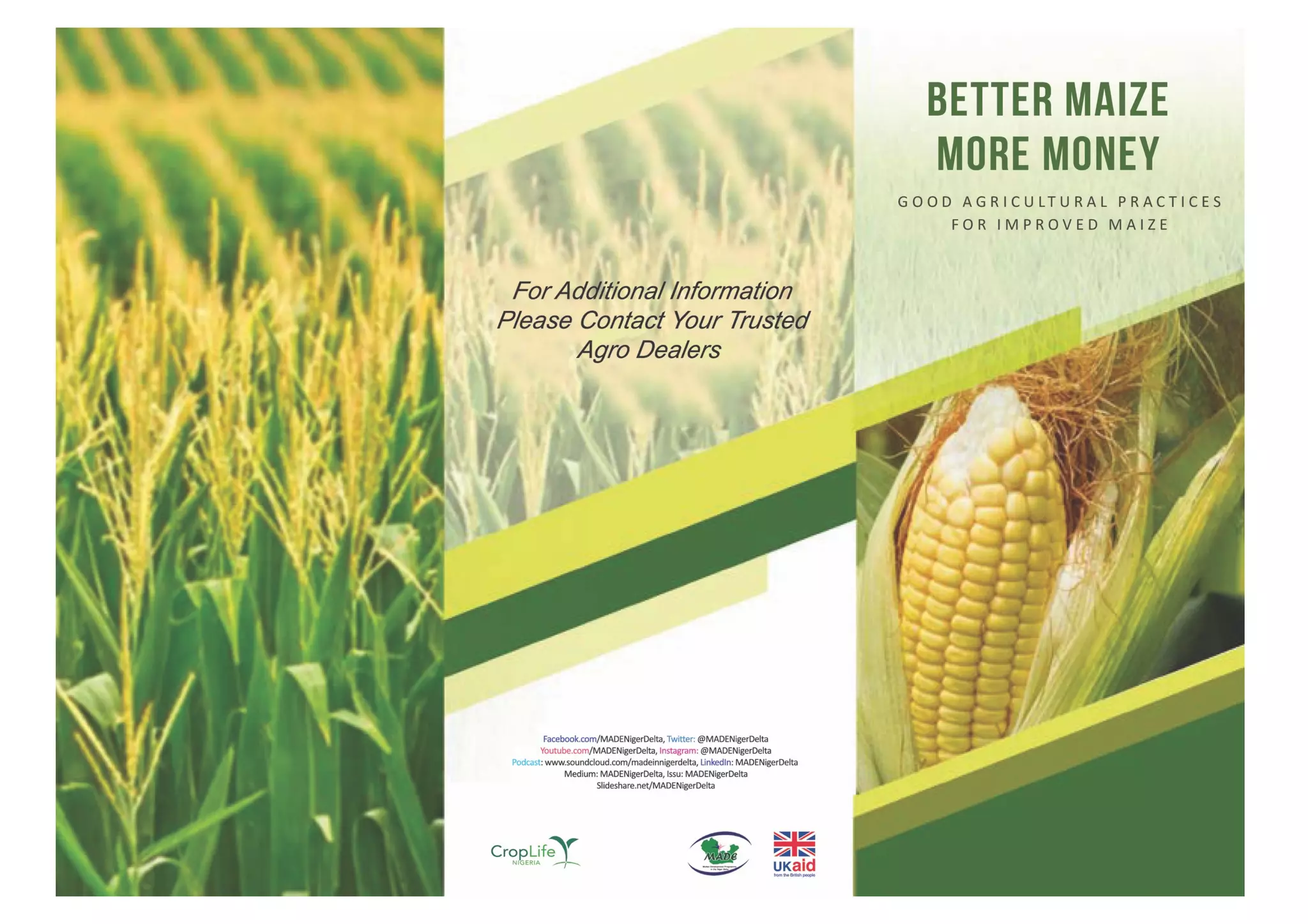 Maize :Good Agricultural practices | PDF