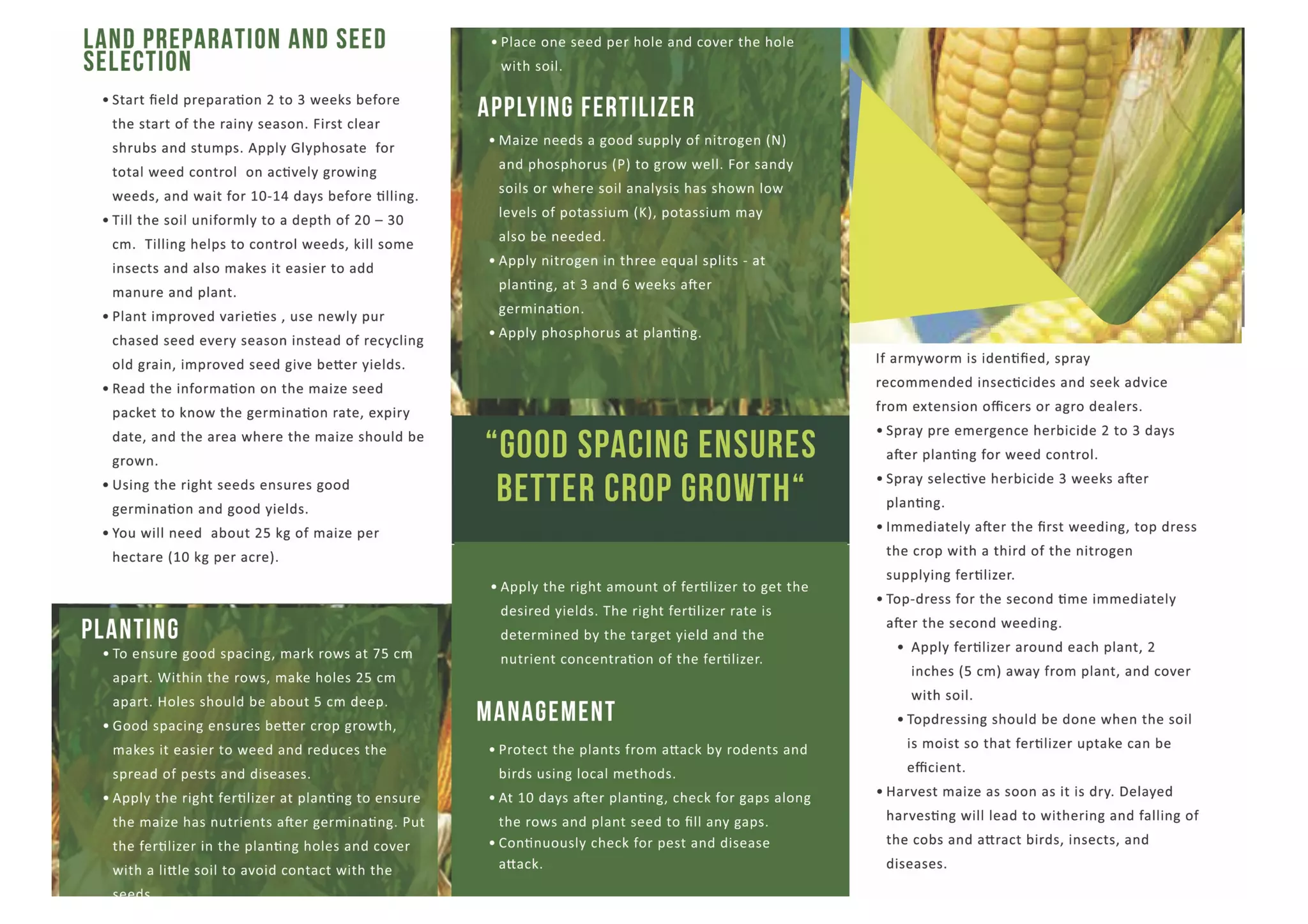 Maize :Good Agricultural practices | PPT