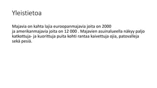 Majava | PPTX