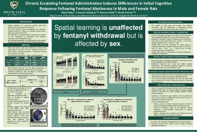 Chronic Escalating Fentanyl Administration Induces Differences in ...