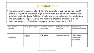 Majeed(phase ii metabolism) | PPT
