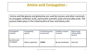 Majeed(phase ii metabolism) | PPT
