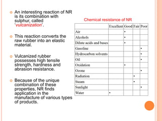 Natural Rubber | PPTX