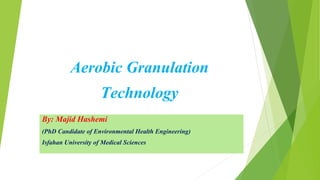 Majid Hashemi_ Aerobic Granulation | PDF
