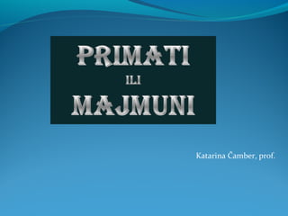 Majmuni | PPT